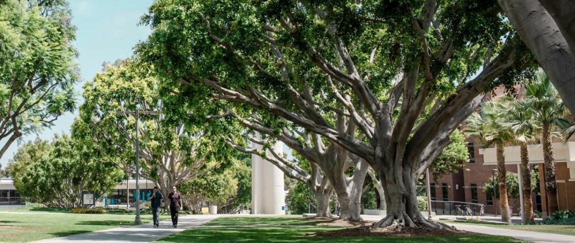 California State University Long Beach Academic Program Saf