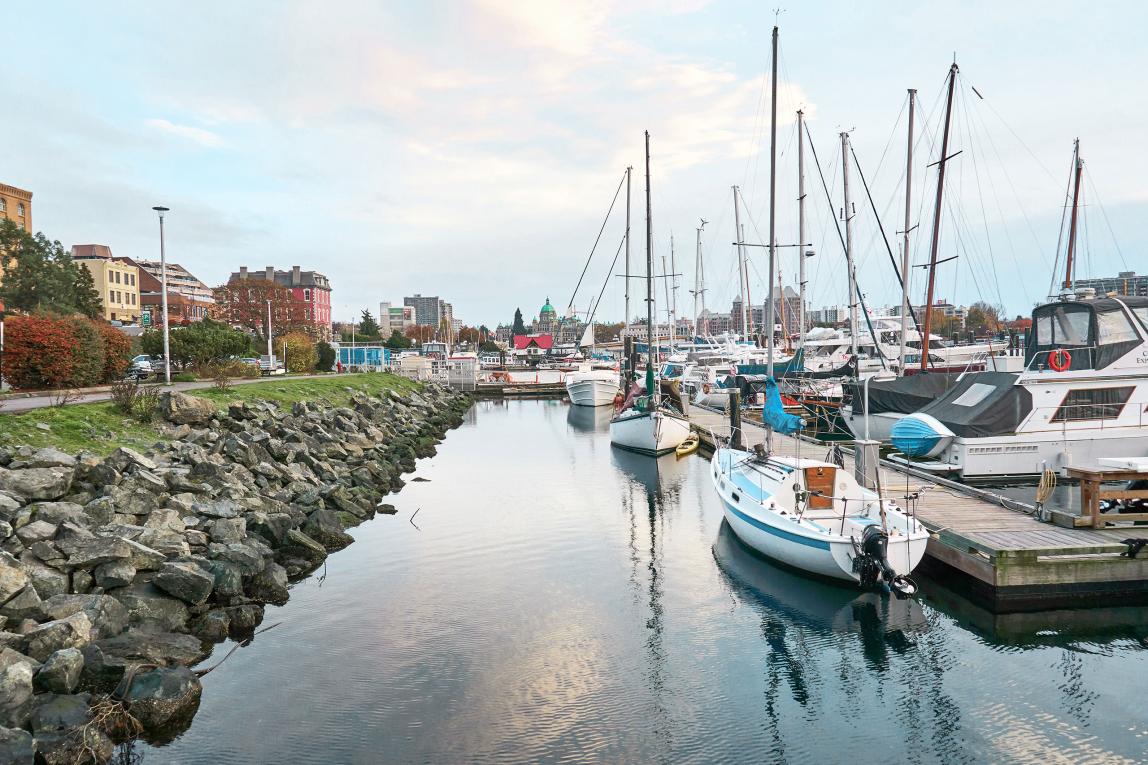 University Of Victoria Summer English Language Standalone Program Saf