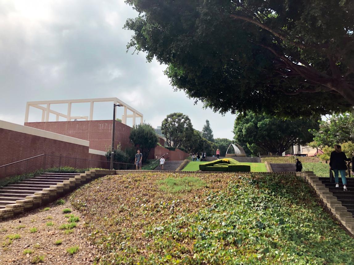 California State University Long Beach Academic Program Saf