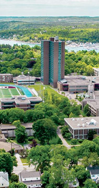 Why Toronto Is the Most Multicultural City in the World | SAF