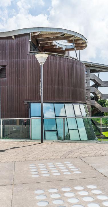 University Of Limerick English Language Pathway Program Saf